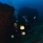 Zihuatanejo: Moonlit Dive at Las Gatas - An In-Depth Look at the Moonlit Dive Experience