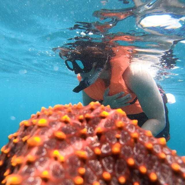 Zihuatanejo: Snorkeling in Manzanillo and Las Gatas - Detailed Review of the Snorkeling Tour Experience