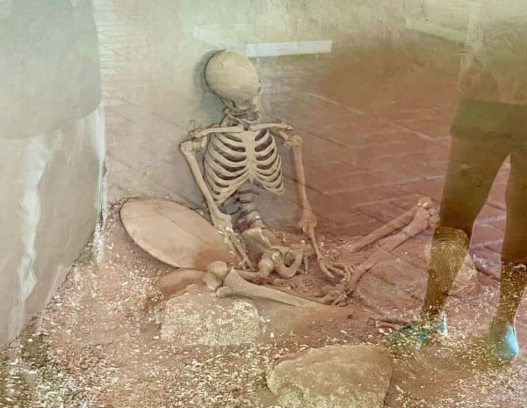 Zihuatanejo: Xihuacan Archaeological Tour with Museum Visit - Practical Considerations