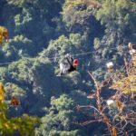 Zip Line Adventure in the heights in Puerto Vallarta 11 lines - Detailed Review of the Zip Line Adventure in Puerto Vallarta