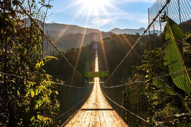 Zip Line, Mules Ride and Walk on the Hanging Bridge - What Did the Reviewers Love?