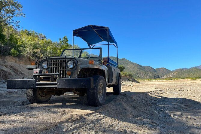 Zipline Adventure from Caduaño - What’s Included and What to Expect