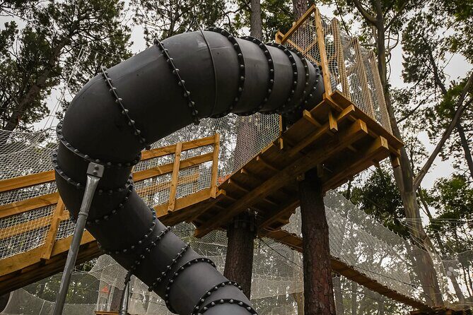 Zipline over the Heysen Trail & Through the Pines of Kuitpo - The Sum Up