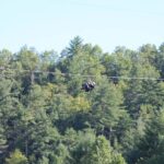 Zipline the Goliath in The Smoky Mountains - What to Expect on Your Goliath Zipline Adventure