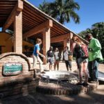 Ziplines and mezcal tasting - Why This Tour Stands Out