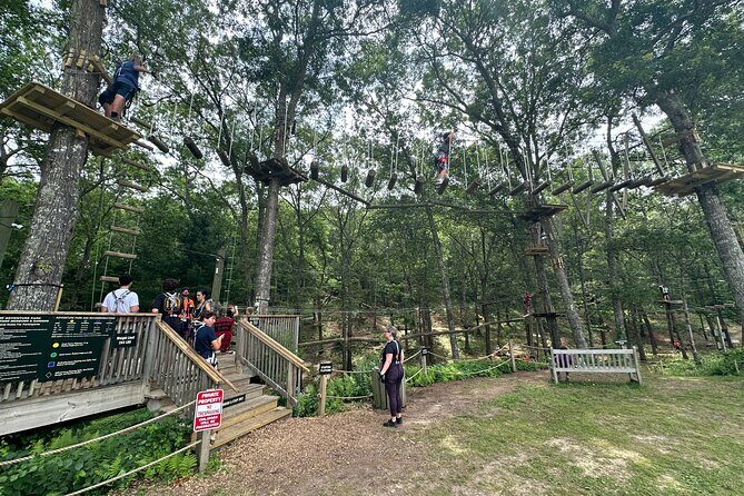 Ziplining and Climbing at The Adventure Park on Cape Cod - Real Insights from Reviewers