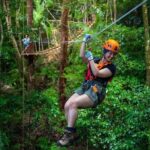 Ziplining Cape Tribulation with Treetops Adventures - The Itinerary Breakdown