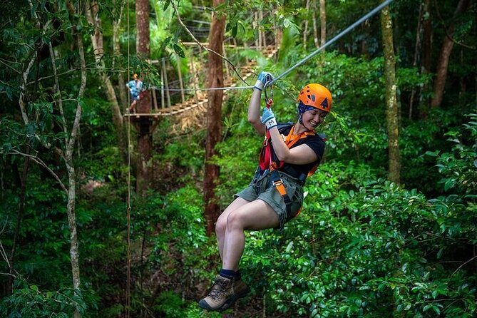 Ziplining Cape Tribulation with Treetops Adventures - The Itinerary Breakdown