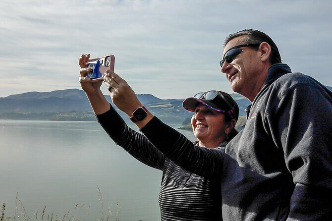 1/2-day Christchurch Scenic Highlights (Private Shore Excursion) - Analyzing the Value