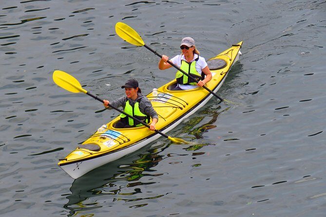 1 Hour Rental Deluxe Double Sea Kayak - What to Expect During Your Kayaking Session