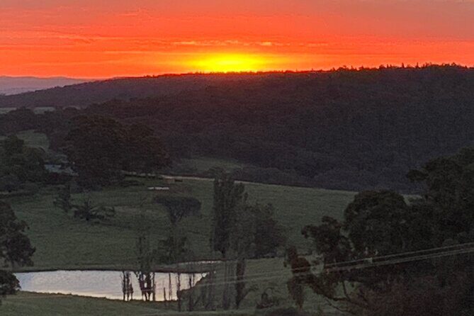 1 Hour Trike Tour for 2 in Mount and Lake Canobolas - Who Is This Tour Best Suited For?