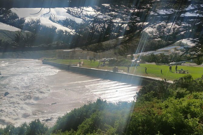 12 Apostles and Otway Fly Zipline Day Trip from Melbourne - The Highlights: Scenic Coastal Sights