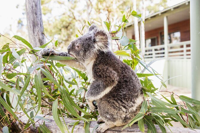 14 Day Tour from Sydney to Cairns Fraser Island and Whitsundays - A Detailed Breakdown of the Itinerary