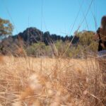 2 Day Daintree Rainforest and Chillagoe Outback Tour - A Closer Look at the Itinerary