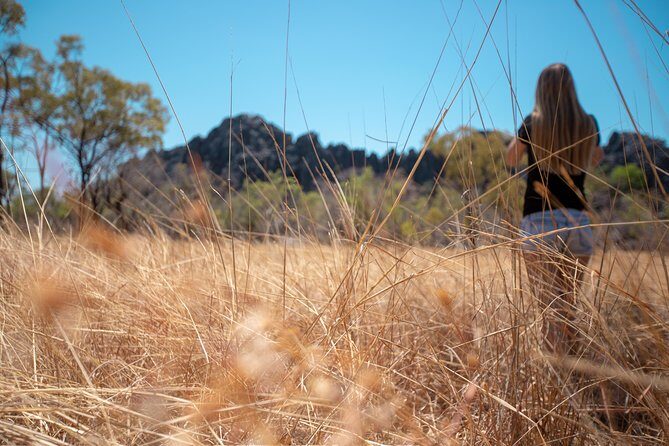 2 Day Daintree Rainforest and Chillagoe Outback Tour - A Closer Look at the Itinerary