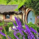 2 Day Hobbiton Waitomo Caves Raglan Private Tour from Hamilton - What This Tour Means for You
