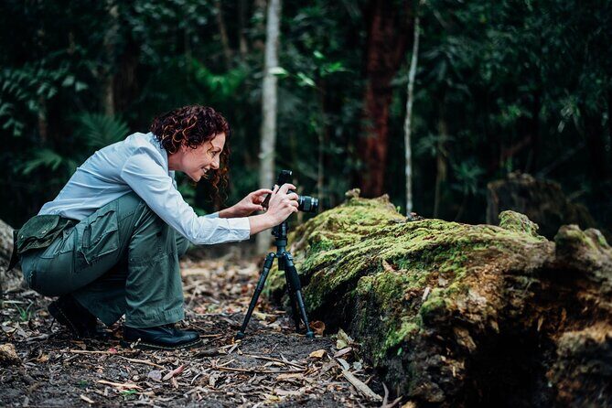 2-Hour Mushroom Photography Activity in Cairns Botanic Gardens - The Bottom Line