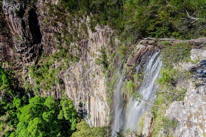 2 Night Rainforest Glamping Adventure near Byron Bay - Final Thoughts