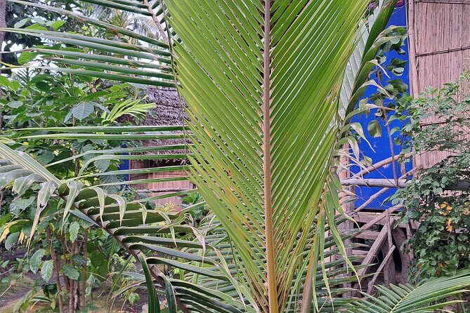 2 Nights Stay in Tanna including Accommodation, meals & transfers - Who Is This Tour Best For?