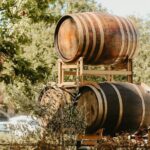 2 People - Premium Wine Tasting Experience and 2-Course Lunch - Authentic Guest Feedback & What It Reveals