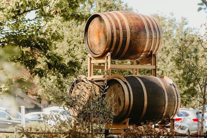 2 People - Premium Wine Tasting Experience and 2-Course Lunch - Authentic Guest Feedback & What It Reveals