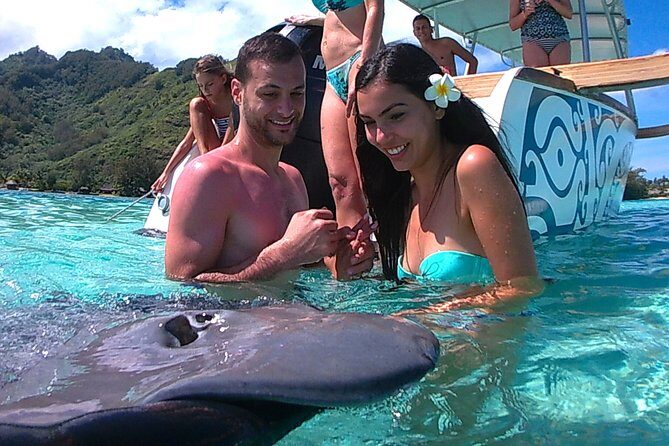 3-hour Lagoon Snorkeling Tour - Shared Tour - The Marine Encounters: Real Insights from Reviewers