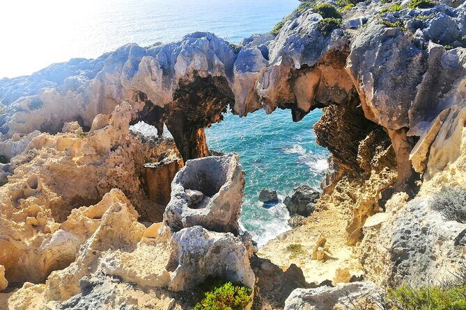 4 Days Tour to Pink Lake Kalbarri, Margaret River and South West - Who Will Love This Tour?