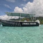 4 Hour Private Humpback Whales Encounter in Moorea - What to Expect During the Tour