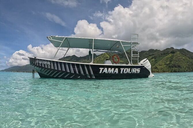 4 Hour Private Humpback Whales Encounter in Moorea - What to Expect During the Tour