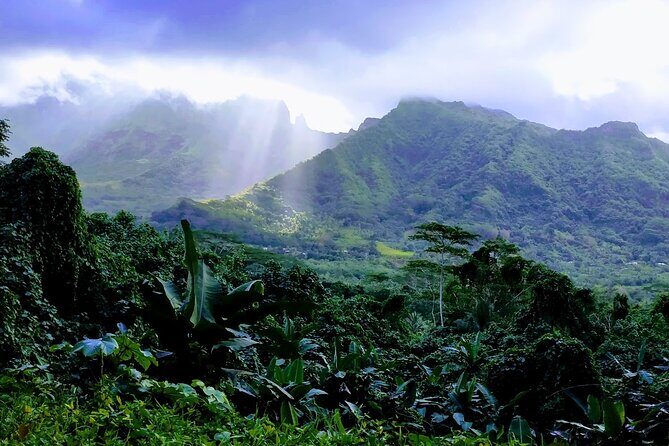 4x4 Tour  Culture, Crafts and Agritourism in Raiatea - Authentic Insights from Reviewers