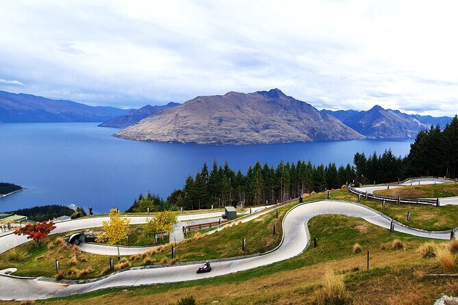 5 Day South Island New Zealand Private Tour from Dunedin - What Makes This Tour Stand Out?
