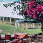 5 or 7 hour Far End of Waiheke Scenic Wine Tour in Electric Vans - Value and Practicality