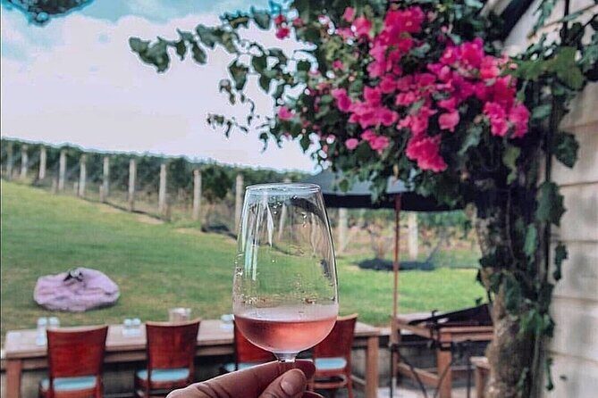 5 or 7 hour Far End of Waiheke Scenic Wine Tour in Electric Vans - Value and Practicality