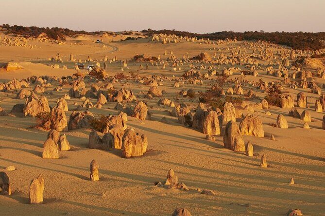 6 Hours Pinnacles Express Tour - What Makes This Tour Stand Out?