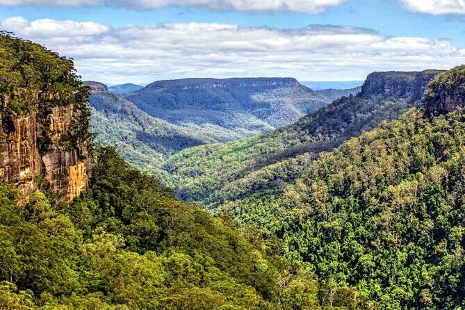 A Day In The Vineyards || Luxury Private Winery Tour From Sydney - What Sets This Tour Apart?