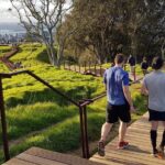 A Day Trip in Auckland City - Exploring the Itinerary: What You Can Expect