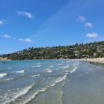 Abel Tasman Adventure Private Tour from Nelson Cruise Port - What’s Included and What’s Not