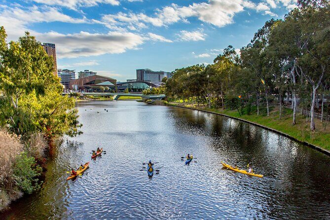 Adelaide City Kayak Tour - Authentic Experiences from Reviewers