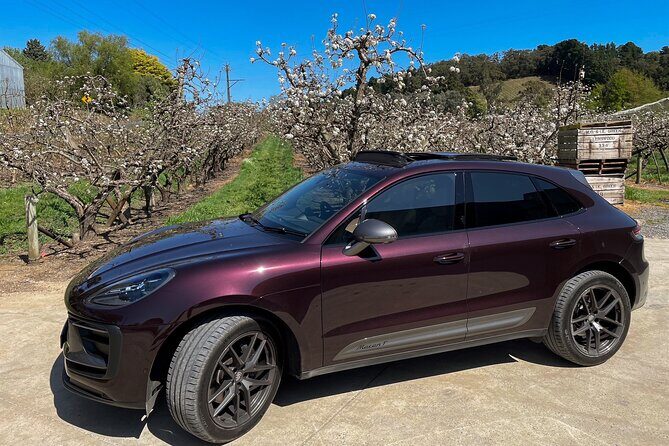 Adelaide Couples Tour: Penfolds(World #2) Visit Hahndorf & Lunch - What Sets This Tour Apart?