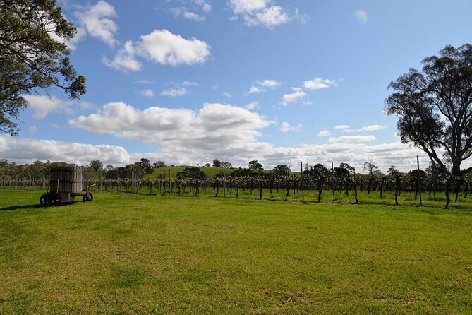 Adelaide Japanese Group Winery Day Tour in Barossa and Hahndorf - Why This Tour Offers Great Value