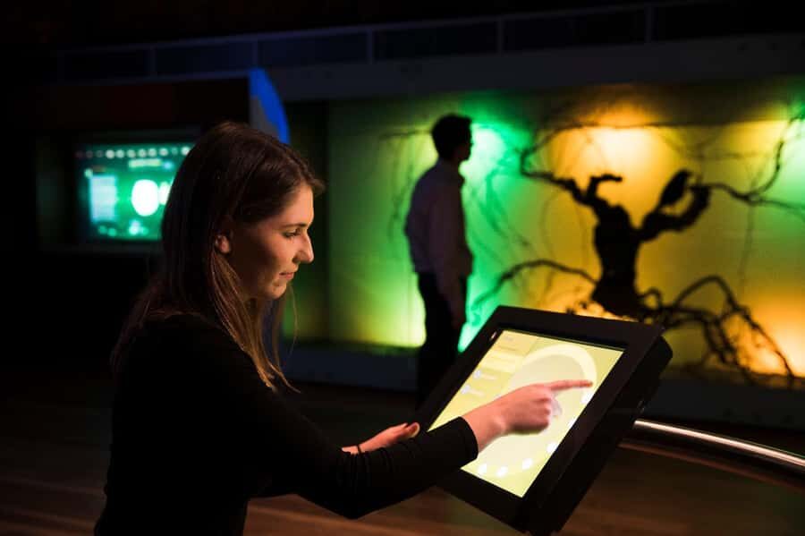 Adelaide: National Wine Centre Wine Discovery Journey - Tour Structure and Content