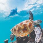 Adventure Moreton Island Scuba Dive Tour - Final Thoughts