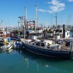 Airlie Beach: Beautiful Bowen Beaches Day Tour. - Frequently Asked Questions