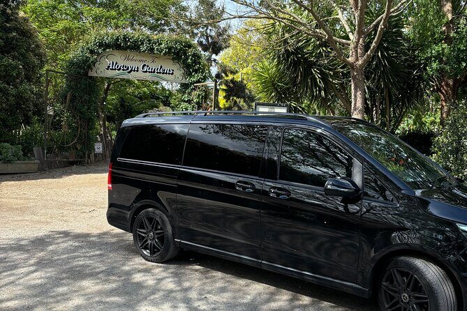 Airport Transfers & Day Tours in a Chauffeur-Driven Luxury Van - Who Should Consider This Service?