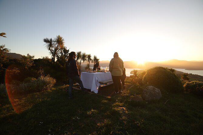 Akaroa Evening Stargazing & Daytime Solar Viewing Tour + Dinner - Why This Tour Works for Different Travelers
