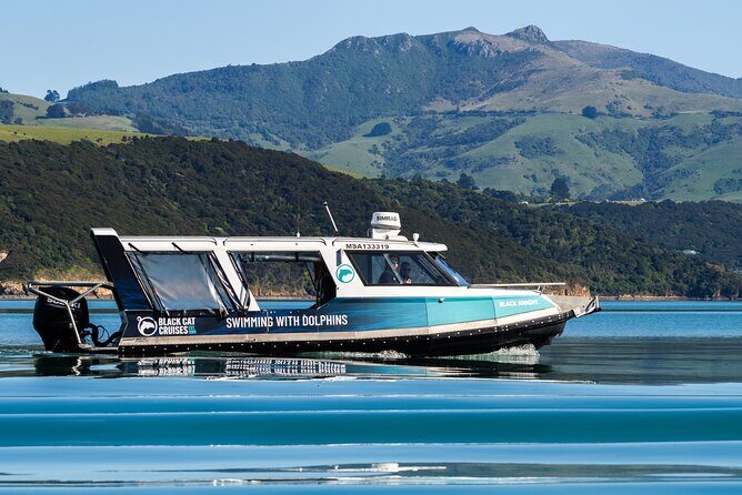Akaroa Swim with Dolphins Tour from Christchurch - Practical Details & Tips