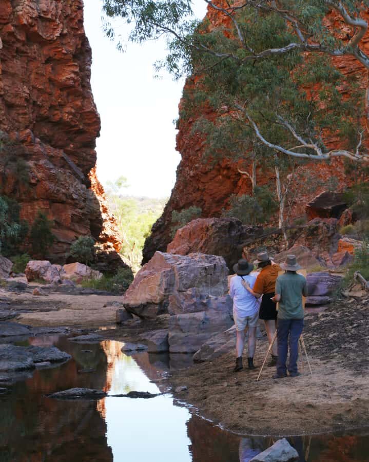 Alice Springs: Simpsons Gap Sunset Watercolor Painting Class - Getting There and the Transportation