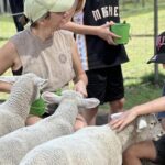 Alpaca Feeding with Wildlife and Nature Park Visit Private Tour - Transportation and Convenience