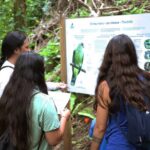 AOA Polynesian Forests - Educational Forest and Tahitian Trail Game DE - What Travelers Might Expect: Insights from Reviews