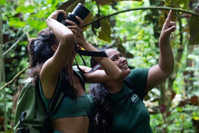 AOA Polynesian Forests - Tahiti Nature Immersion Day - The Sum Up